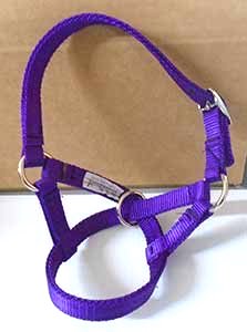 Supply Directory – AWSGA